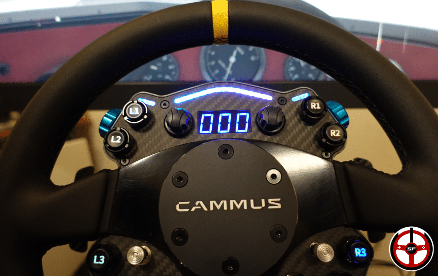 Testing the Cammus C12: an inexpensive Direct Drive. Is it worth the cost?